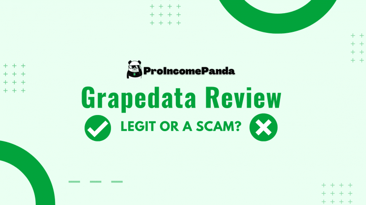 Grapedata Review 2024: Is it Legit or Scam? - ProIncomePanda